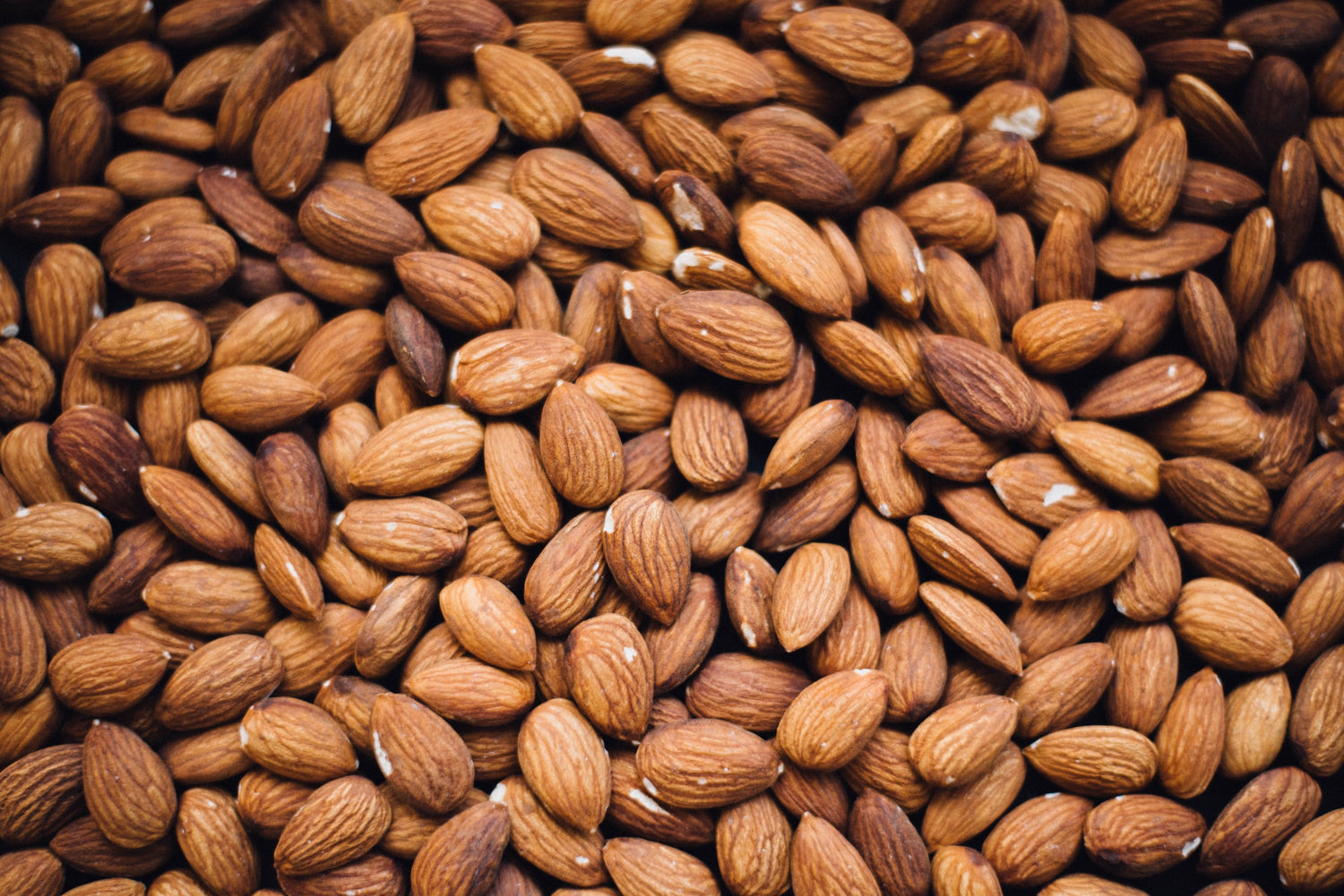 Almond Growing Guide – Anderson's Seed & Garden