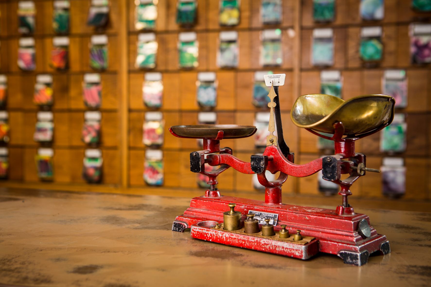 Organic & Quality Seeds | Anderson's Seed & Garden