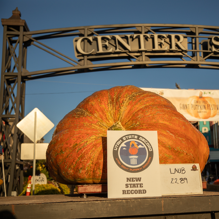 Center Street Giant Pumpkin Festival 2025 – Anderson's Seed & Garden