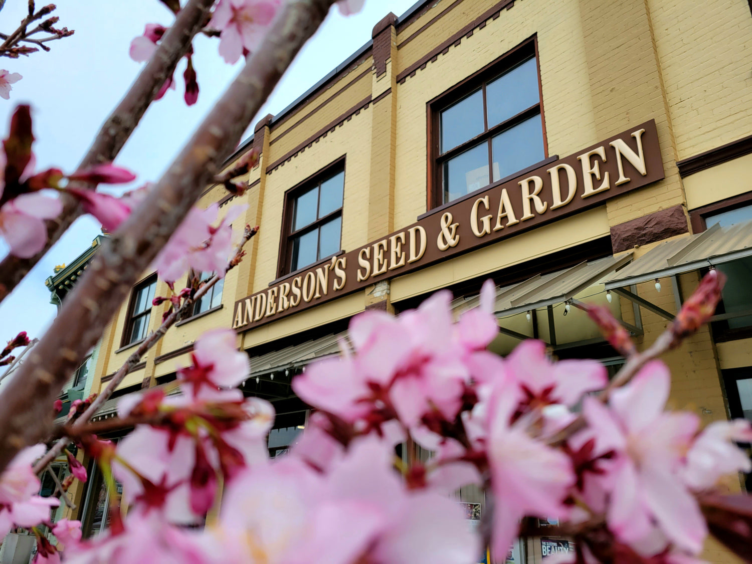 Organic & Quality Seeds | Anderson's Seed & Garden