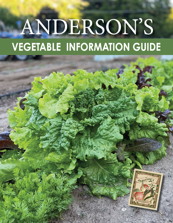 Vegetable Information Guide – Anderson's Seed & Garden
