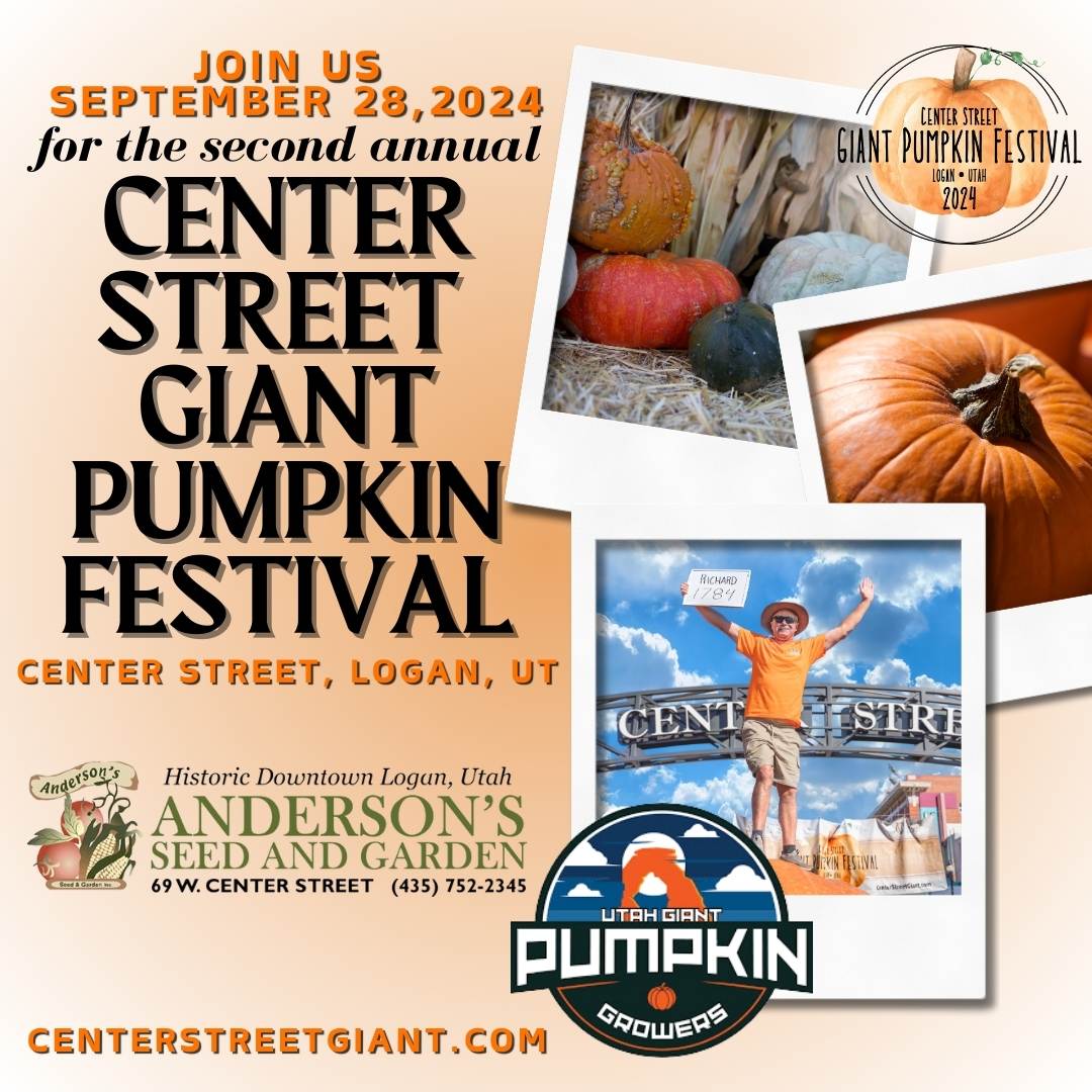 Center Street Giant Pumpkin Festival 2024 – Anderson's Seed & Garden