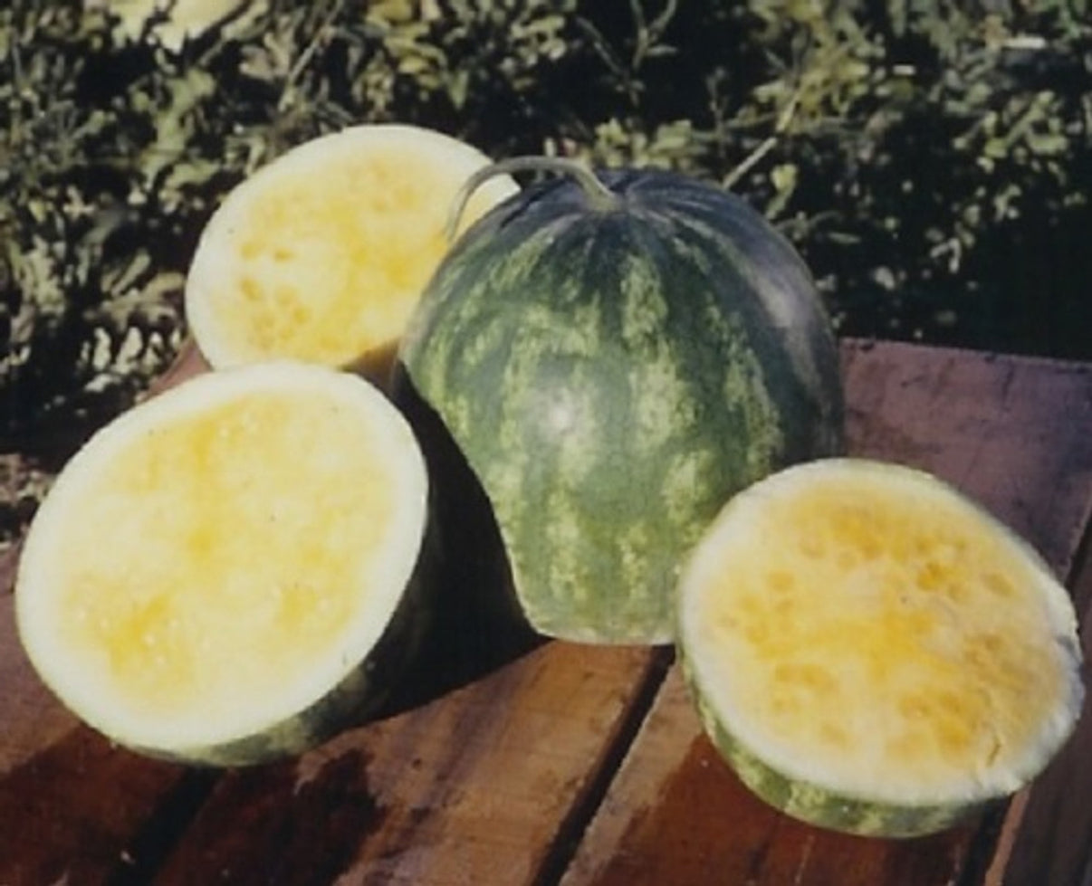 Watermelon Treasure Chest Seed – Anderson's Seed & Garden